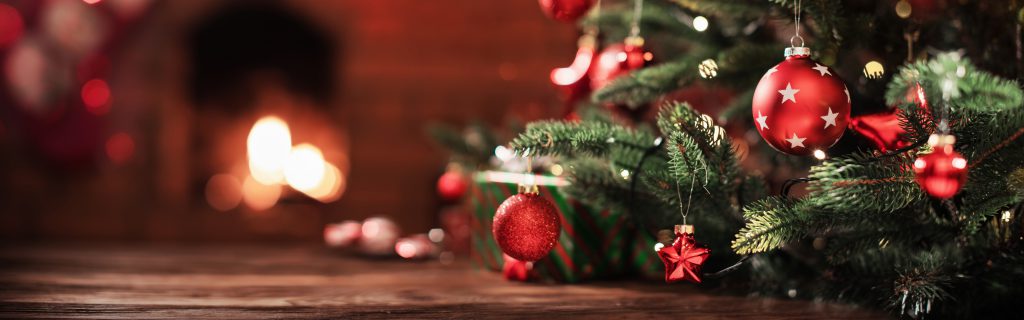 Torquay & Festive Saltram - Alfa Travel